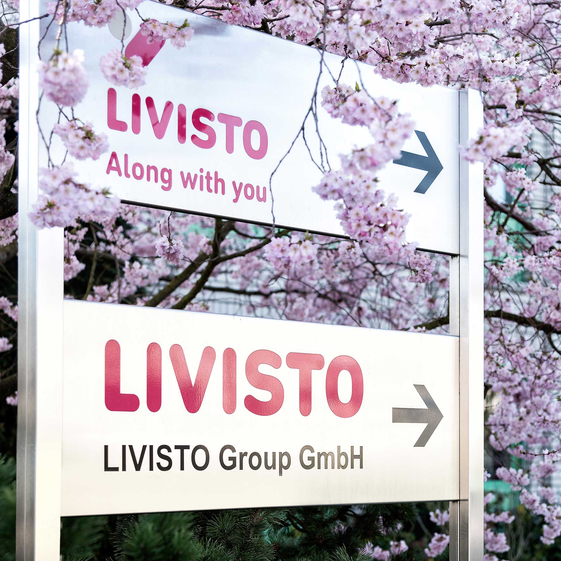 Über Uns - Ausbildung bei LIVISTO